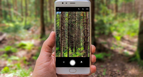 The best photographic smartphones for less than 300 usd of 2021 - MNP